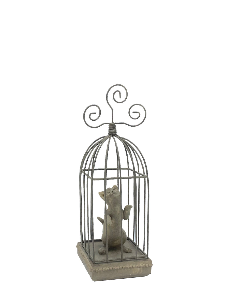 OPRITOR CARTI PISICI – Kalm